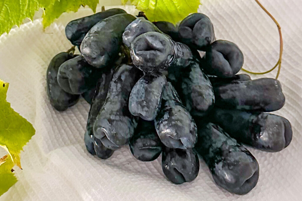 ROASTED MOON DROP GRAPES - The Tasty Chapter