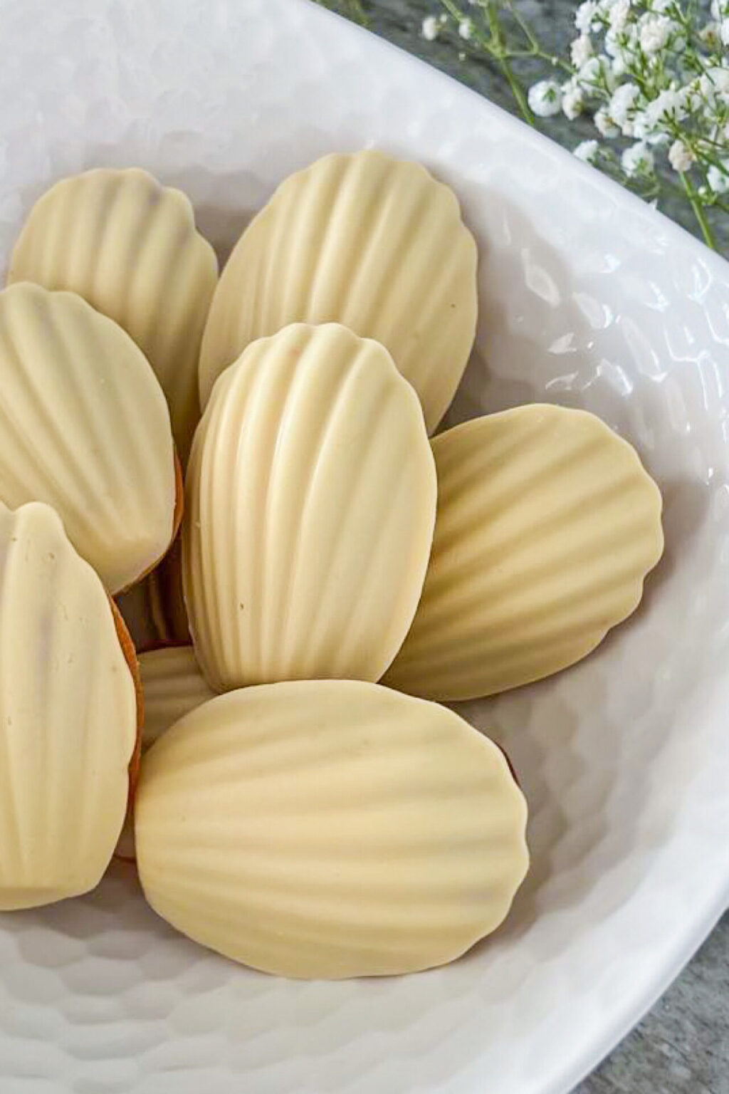 CHOCOLATE COVERED MADELEINES - The Tasty Chapter