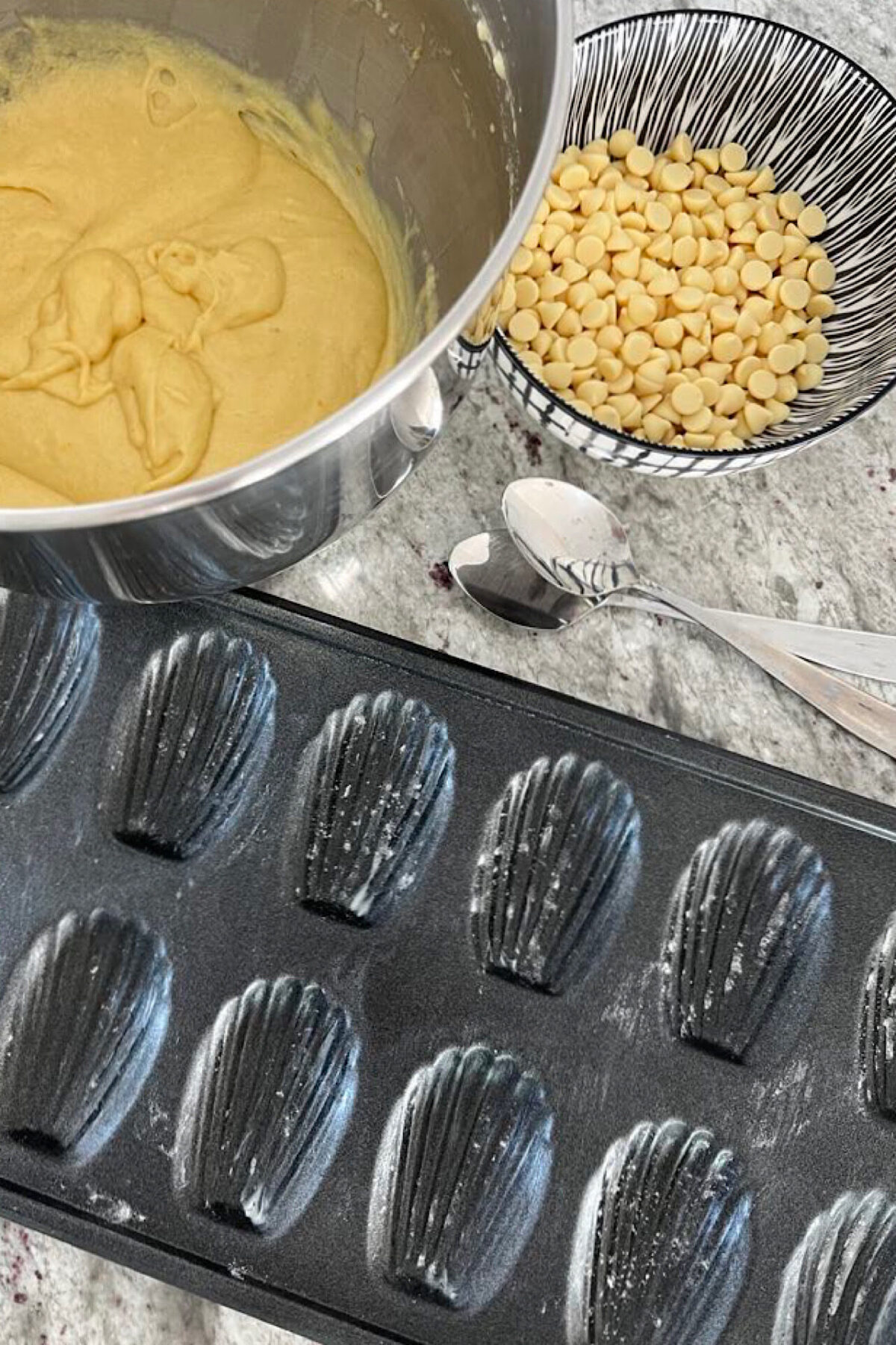 CHOCOLATE COVERED MADELEINES - The Tasty Chapter