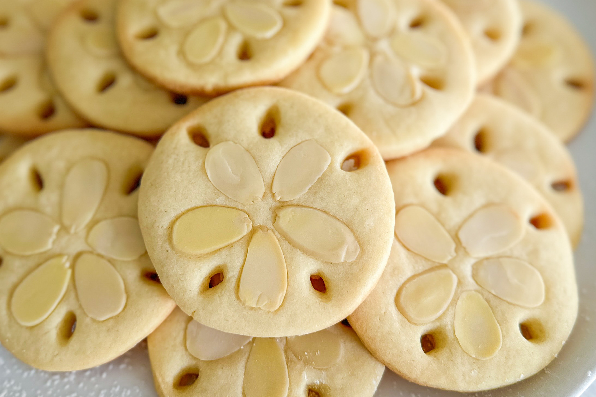 ALMOND SAND DOLLAR COOKIES - The Tasty Chapter