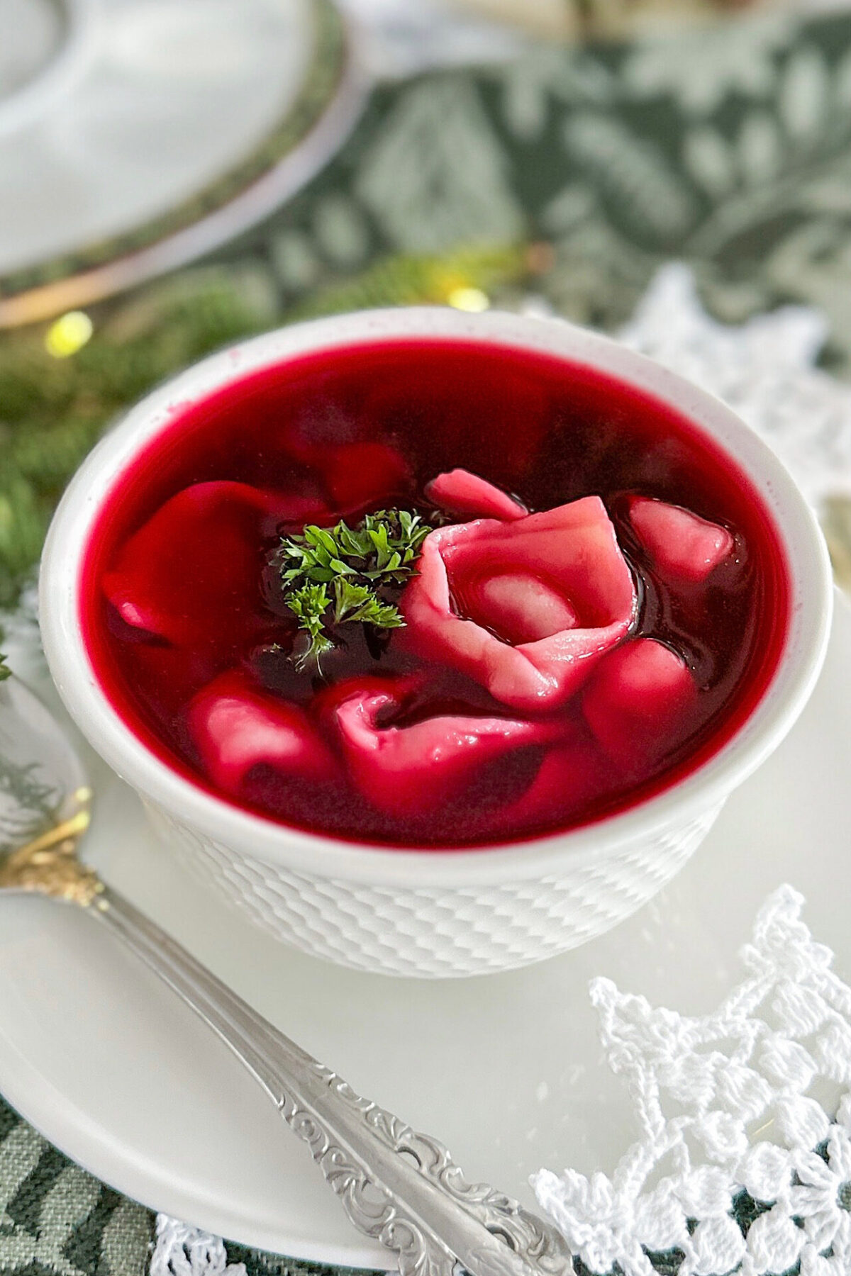 POLISH BORSCHT SOUP RECIPE - The Tasty Chapter