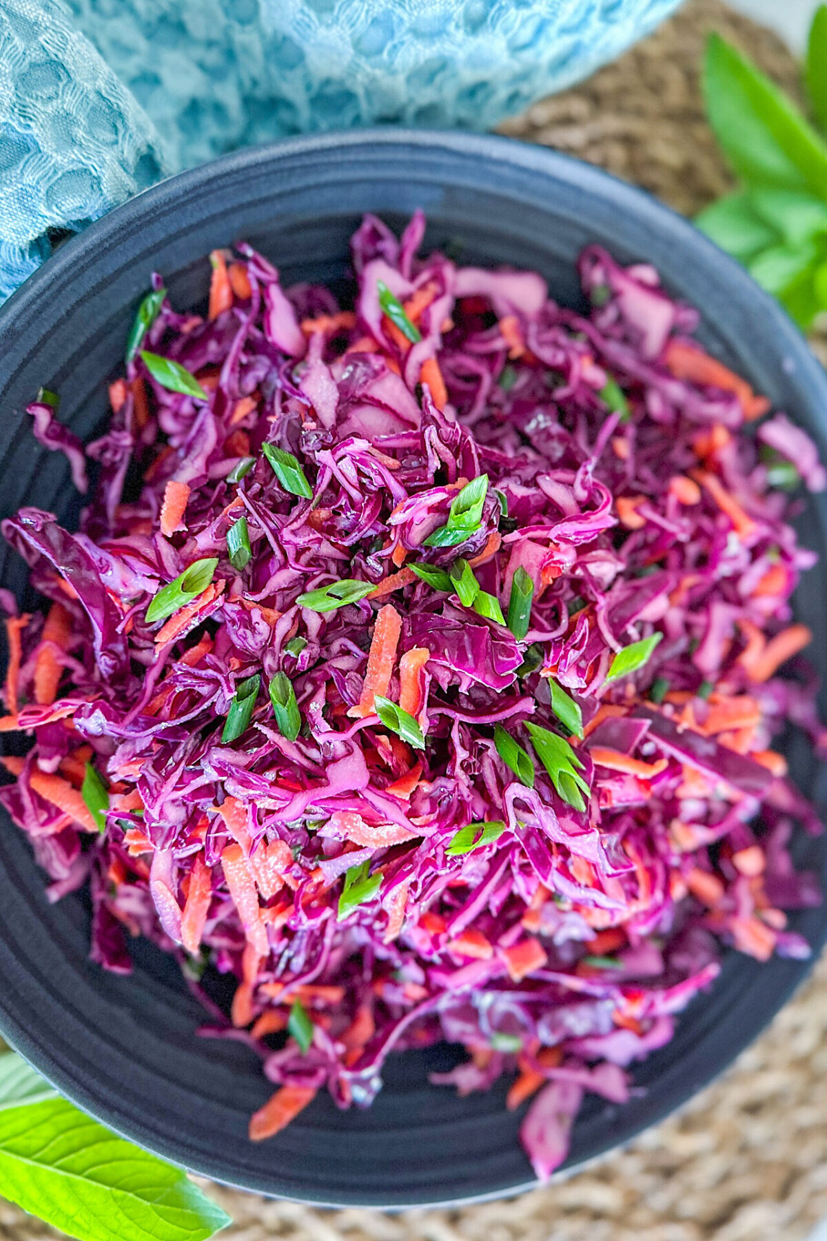 RED CABBAGE COLESLAW RECIPE - The Tasty Chapter