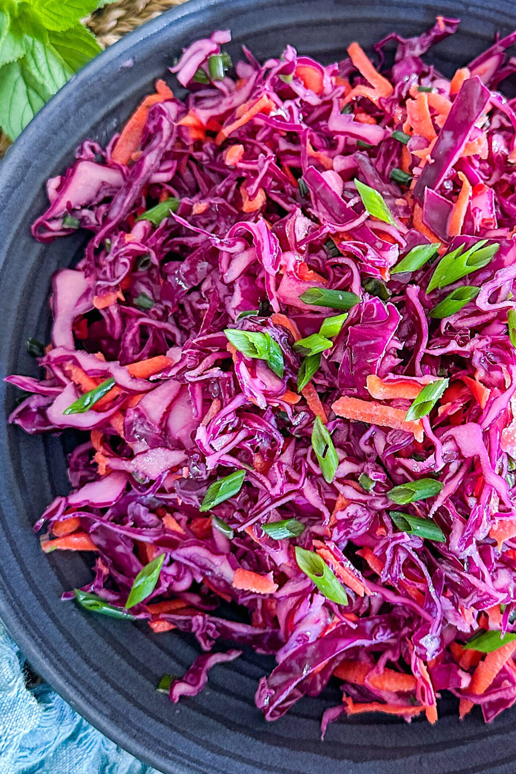 RED CABBAGE COLESLAW RECIPE - The Tasty Chapter